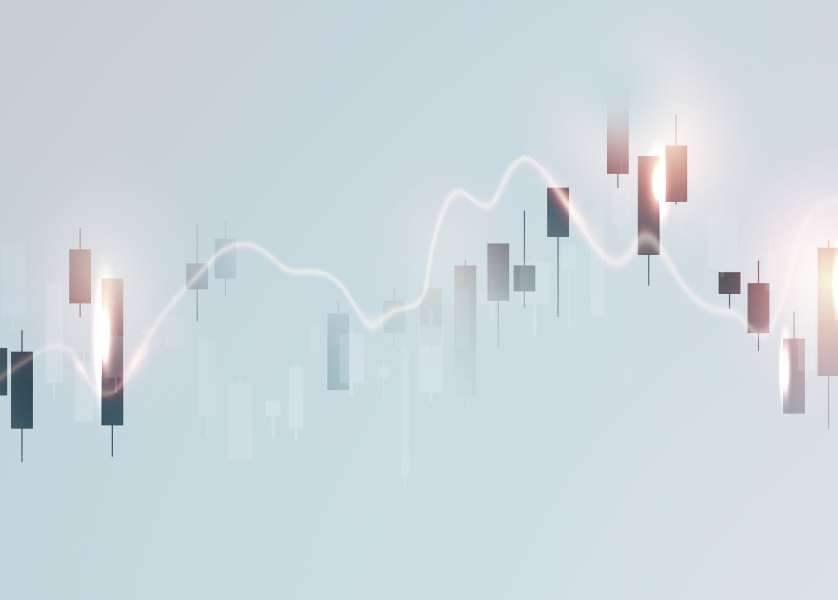 Best Forex Trading Tools To Boost Your Trading Experience in Jordan