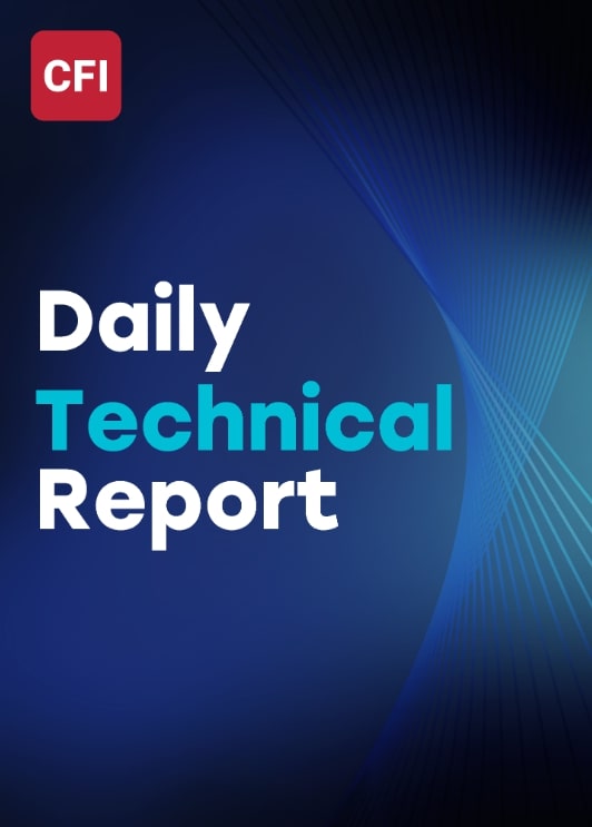 Daily Technical Report